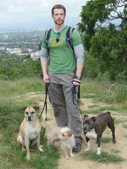 dog trainer - Ruff Beginnings Rehab Dog Training and Rescue