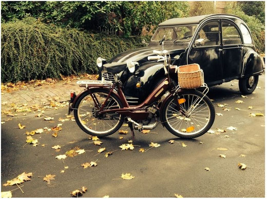Mobylette M1 - Die Website für alte Moped, Mofas und Motorräder.