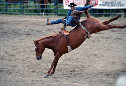 Events - kispiox-river-ranch