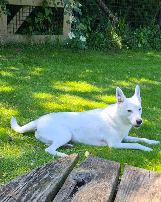 Snuffeltuin verhalen - De website van snuffeltuinen!