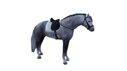 Das ist unser Co - night-dreamers-family-ssoclubs Webseite!