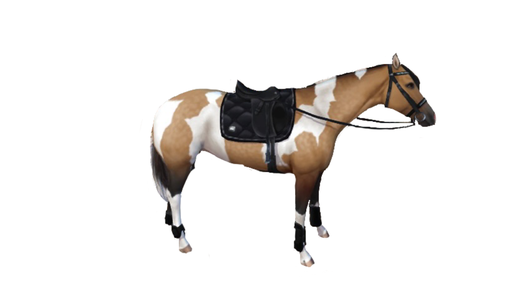 Das ist unser Co - night-dreamers-family-ssoclubs Webseite!