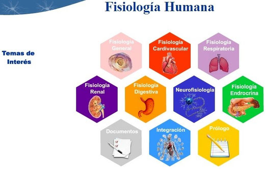 FISIOLOGÍA HUMANA I - mapedemas jimdo page!