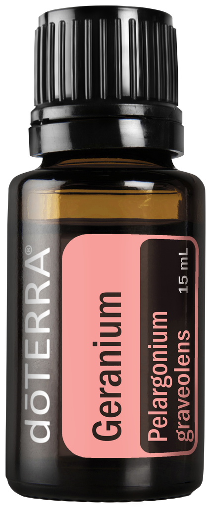 Aroma Welt │Geranium Oil - Geranienöl - Geranie ätherisches Öl ...