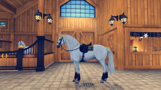 Vorraussetzungen zur Bewerbung - awesomearrows