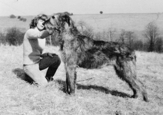 The Erindale Hounds - Irishwolfhound-Kennel