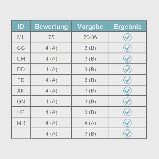 DMC Verifikation - DataMatrix-Code Qualität prüfen