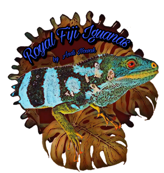 Leguane - Zucht und Haltung australischer Warane und Echsen