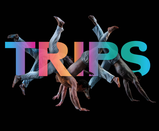 Pilobolus - Scaffardi Artists Management AGENZIA DI MANAGEMENT ARTISTI ...
