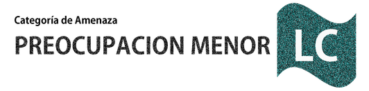 Allobates niputidea - Lista de Los Anfibios de Colombia