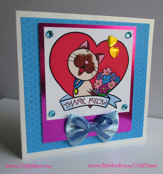 Thank Meow - Chili Paws by Bianca Massonet