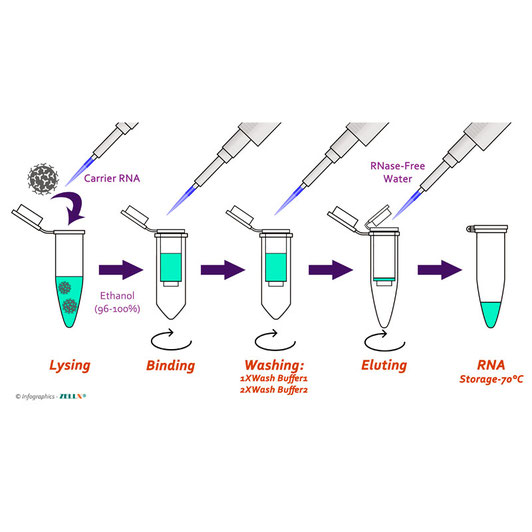 Viral RNA extraction Kit - ZELLX® - High Quality & Affordable BioAssays