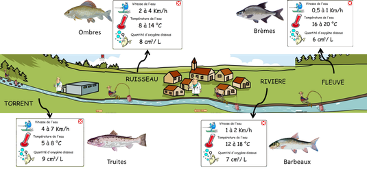 Chapitre 2: la respiration des être-vivants et les conditions du milieu expliquent leur ...