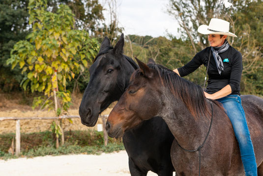 Che cosa è Parelli Natural Horsemanship - Benvenuti su naturaecavalloranch!