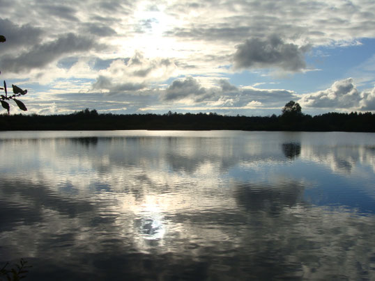 Willkommen auf Haale.de - holmseites Webseite!