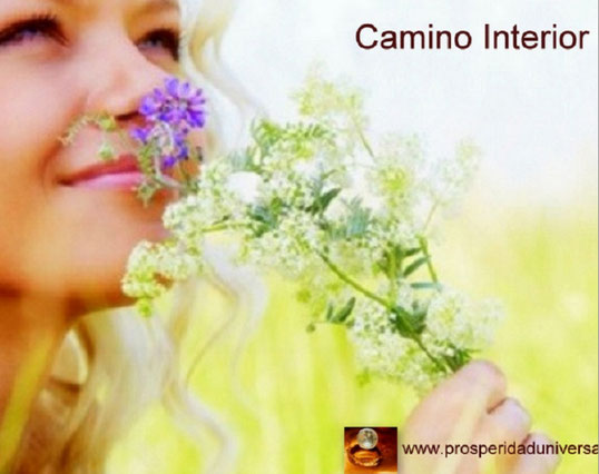 PLENITUD - Activa la energía del universo