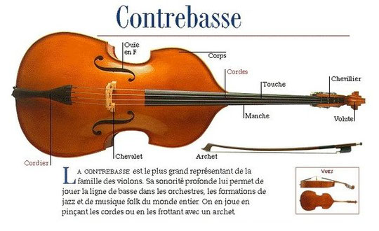 La contrebasse - Site Jimdo de agnesconservatoire!