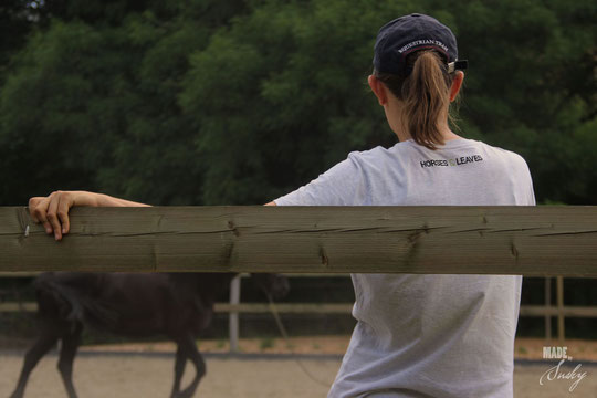 Accueil - Site de julie-evrard