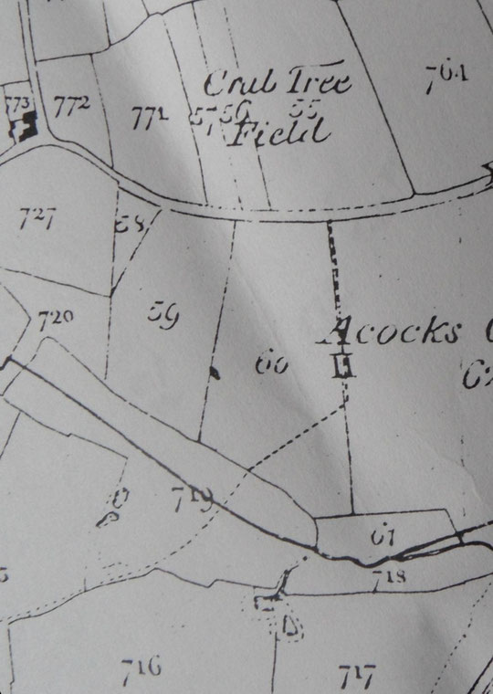 The Avenue - Acocks Green History Society: new website