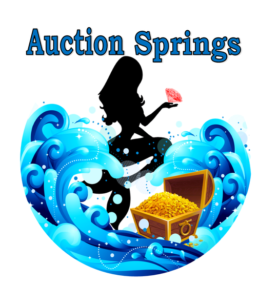 Current Auction - Auction Springs