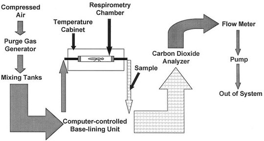 Insect Respirometry - Vienna Scientific