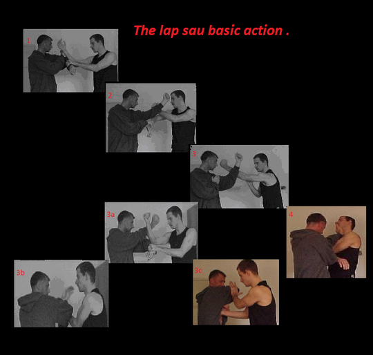 Lap Sau Anfang - wuweiboxings Jimdo-Page!