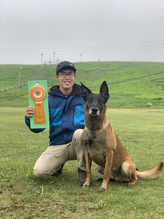 犬のしつけトレーニング - RT Dog Training