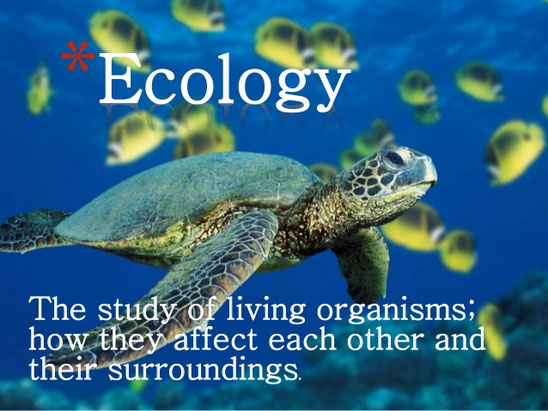 SEMESTER 2 - edbiologykmpk