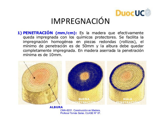 MADERA IMPREGNADA - chilecubica