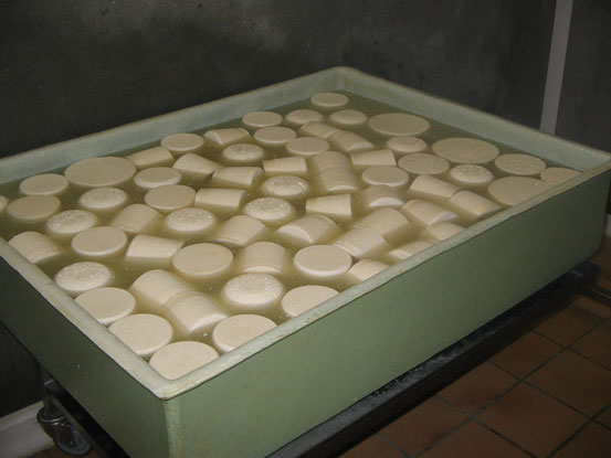 Le salage - La péremption et la conservation des aliments (TPE)