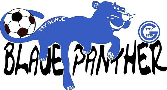 TSV Glinde 1.E und 2.E Jugend 2009 - blauepanther2009 Webseite Blaue ...