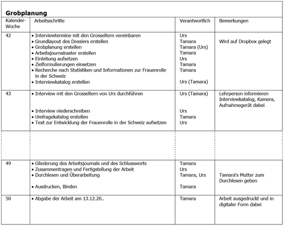 Was wird mit Hilfe der Grobplanung sichtbar gemacht? - va-abus Webseite!