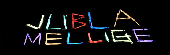 Unsere Leiter - Jungwacht & Blauring Mellingen