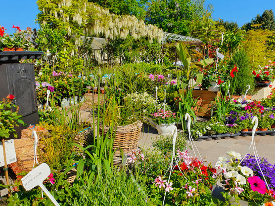 Jardinerie et entreprise de jardins à Woluwe - La Serre Outil