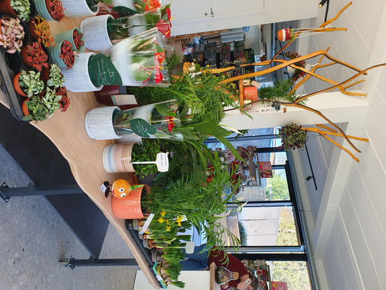 Jardinerie et entreprise de jardins à Woluwe - La Serre Outil