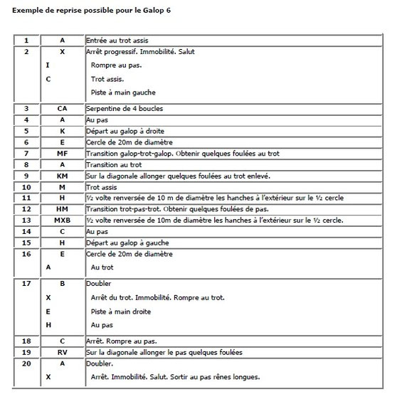 Reprise de dressage galop 6 - Site de fermeequestrelartigou