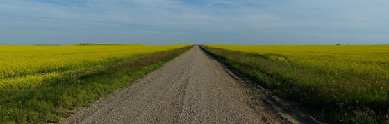 Canadian Whisky - Gimli Distillery - Ralf Zindel