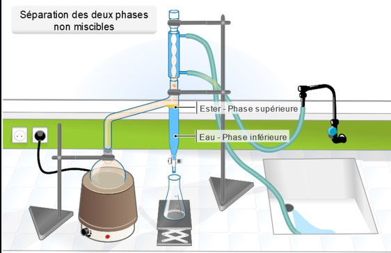 Montage Dean-Stark - Site Ellasciences de Sciences physiques du Lycée ...
