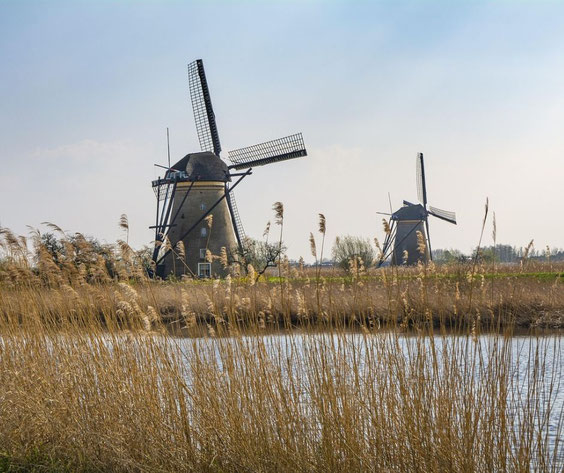 Revolutionising Industry: The Incredible Rise of Steam Power in the ...