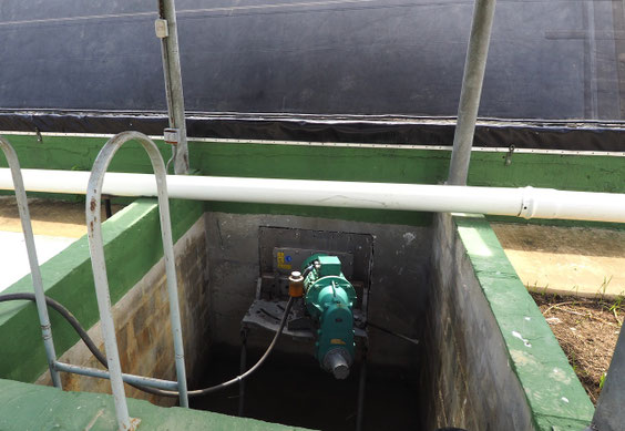 Biogas plant - covered lagoon digester - Covered lagoon digester ...