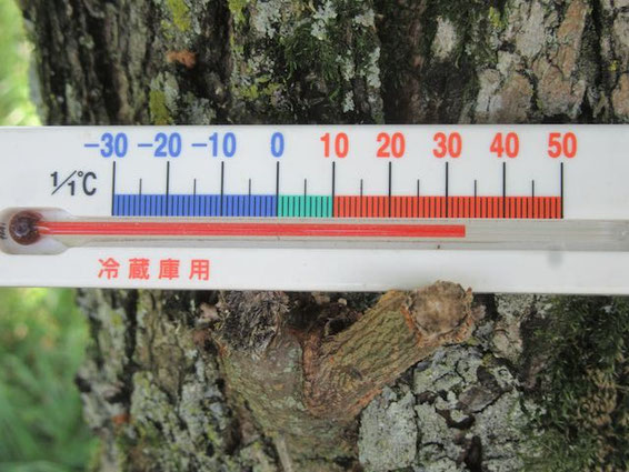 真夏｜P-25＆F-25 FCJ動画 - 角倉の電動フライトテクニック