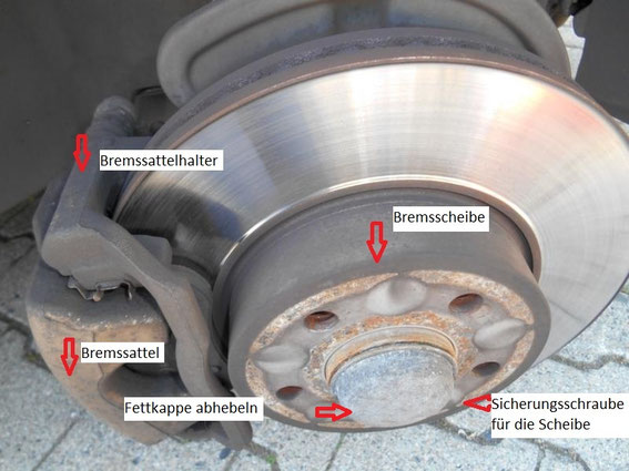 Radlager Vorne wechseln - rammbrunnen