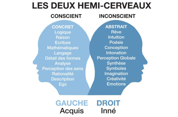 Notre cerveau - Pascale-hypnose