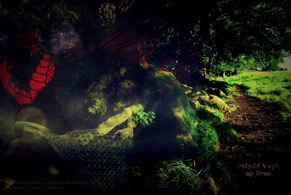 Photos ~ Rex Artorius - WildflowerMonaGraphics&Photography&Hidden ...