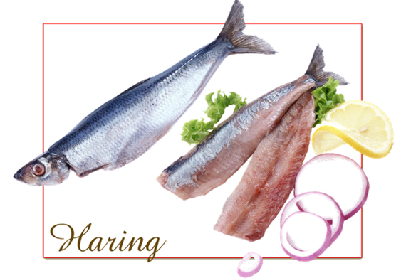 Hollandse Nieuwe; Haringweetjes van vangst tot consumptie - Emmer ...