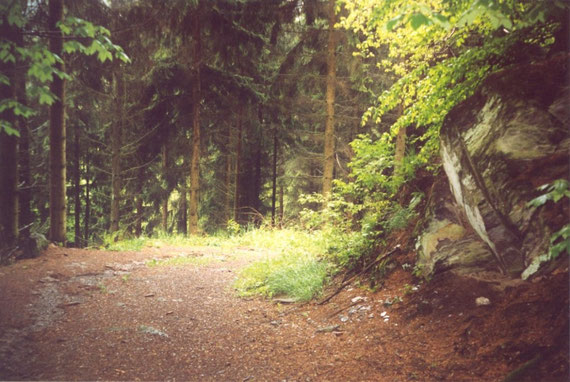 The Huertgenwald Museum - standwheretheyfoughts jimdo page!