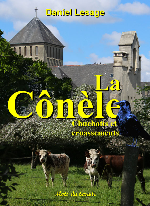 OU RENCONTRER L'AUTEUR (voir page d'accueil) - Daniel Lesage auteur