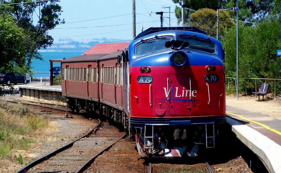 Stony Point - bozzybus
