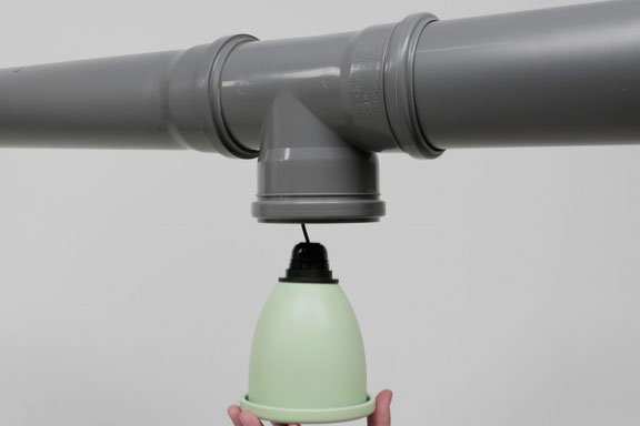 Gewinner - aed e.V. Stuttgart