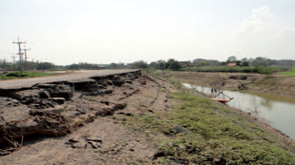 Grass revetments on dikes - Hoffmans Advice